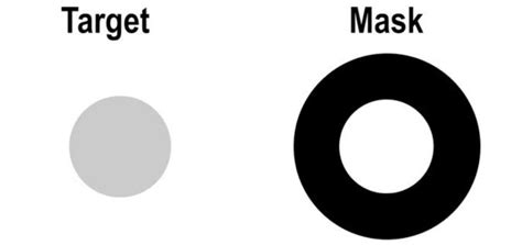 Critique Of Cartesian Dualism Ii Daniel Dennetts Multiple Drafts