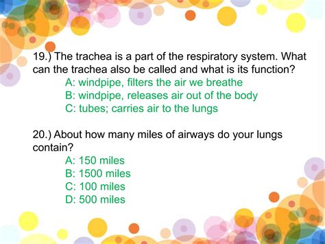 Quiz 1 Activity 1 Respiratory System Pptx