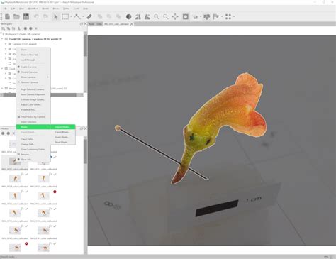 6 3d model reconstruction in agisoft metashape flower photogrammetry