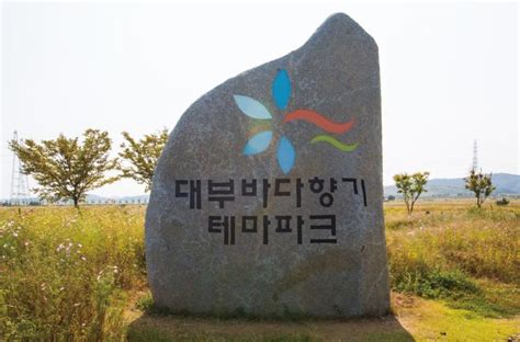 쉬운 드라이브 코스 시화방조제 섬 투어 모두투어