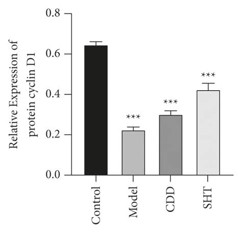 A Western Blot Detection On β Catenin Gsk3β And Cyclin D1