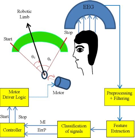 Figure 2 From Brain Actuated Speed Modulation For Position Control Of