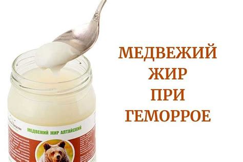 Медвежий жир: лечебные свойства, противопоказания, правильное ...