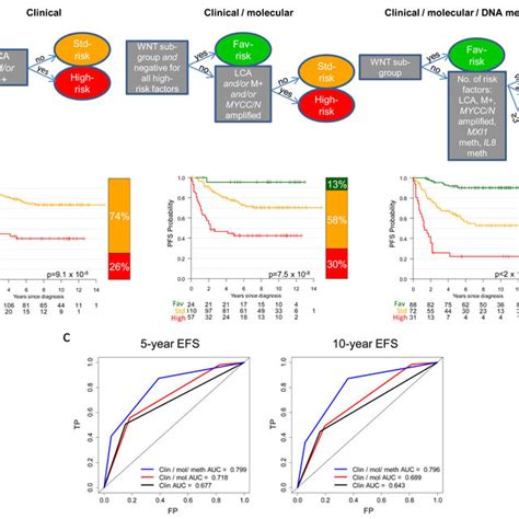 Dna Methylomics Classifies Medulloblastoma Into Four Major Subgroups A Download Scientific