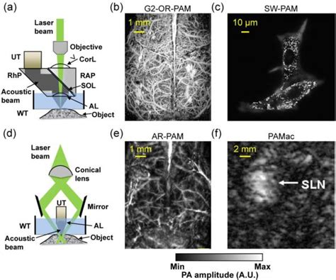 Photoacoustic Microscopy Pmc