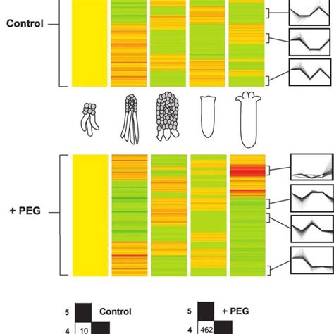 Fold Change Differences In The Expression Of Several Genes Involved In Download Scientific
