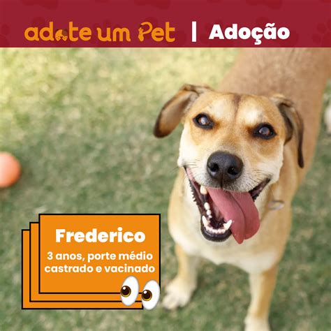 ONG Adote um Pet Projeto Acadêmico on Behance