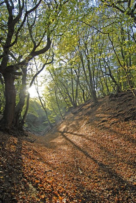 Hollow Ways A Beautiful And Mysterious Place