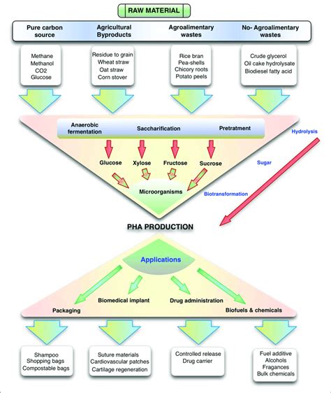 Overview Of The Production Of Polyhydroxyalkanoates From Different Download Scientific