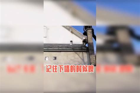 我不想知道我咋来的，我就想知道我咋没得