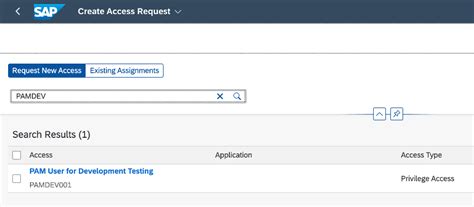 Privileged Access Management In Sap S Hana Cloud Sap Community