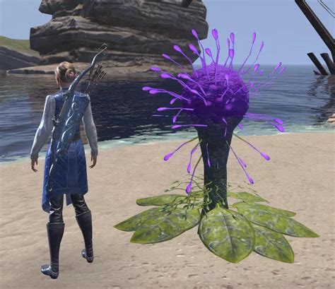Eso Fashion Plant Hist Bulb Elder Scrolls Online