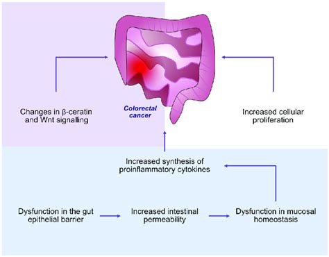 The Involvement Of Oral Microbiome Dysbiosis In The Development Of