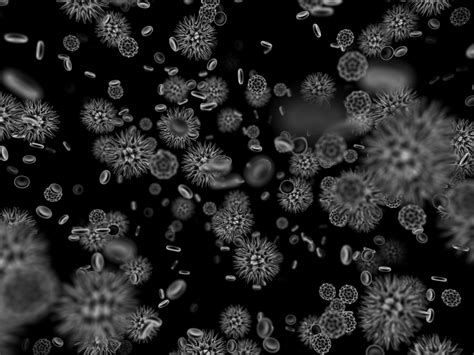 Differences Between Viruses And Bacteria Owlcation