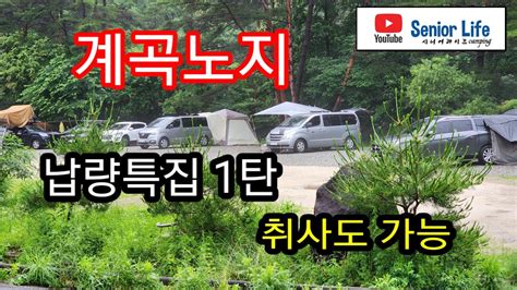 조무락계곡사유지가 8월4일에 막혔다고 합니다 참고하세요무료 취사 가능한 사유지시니어라이프 Youtube