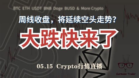 比特币、以太坊双蝴蝶形态阻止空头下跌，是上车机会还是空头危机？ 今天比特币 第148期 數字貨幣中國 Youtube