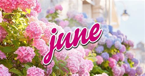 Can T Miss June Fun 2025