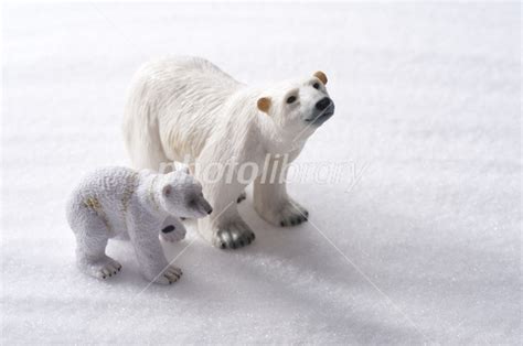シロクマの親子 写真素材 2359291 フォトライブラリー photolibrary