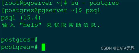 3、在 Centos 8 系统上安装 Postgresql 154centos82安装pgsql简书 Csdn博客
