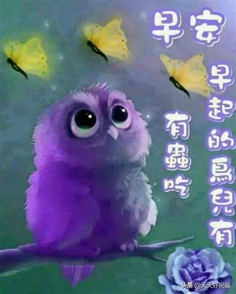 最溫馨的早上好問候動畫祝福圖片，早晨好漂亮表情圖唯美帶字 每日頭條