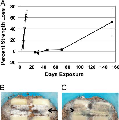 Plot Of Log Fold Change LogFC Versus Log Concentration LogConc For Download Scientific Diagram