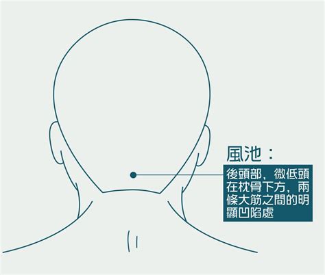 哪些穴位不可隨便針灸了解常見針灸位置及功效附人體穴位圖參考