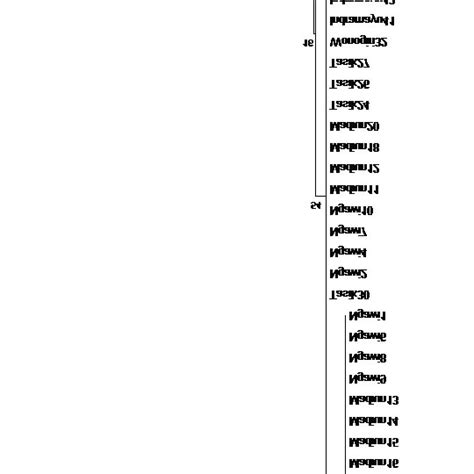 neighbor joining tree based on kimura two parameter model with a bar