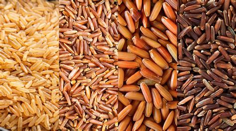 Why Grain Colour Analysis Matters Graintec Knowledge