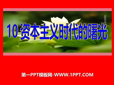 《资本主义时代的曙光》步入近代ppt课件8 人教版九年级历史上册