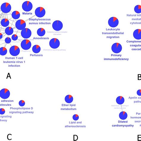 The Intersection Of The Kegg Pathways Between Exome And Transcriptome