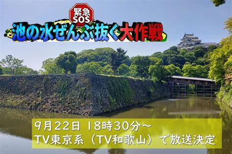和歌山城でロケを行った「緊急sos池の水ぜんぶ抜く大作戦」がまもなく放送されます！ 先日 多くのボランティアの方々に番組ロケに協力を頂いた