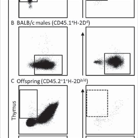 Approach Used For Detection Of Maternal Mc Cells Among Fetal Cells By Download Scientific