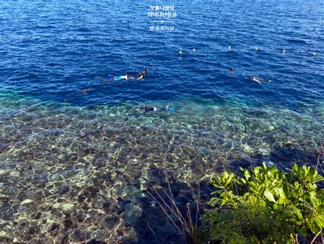 필리핀 보홀 여행 나팔링 스노쿨링 히낙다난 동굴 수영 입장료 네이버 블로그