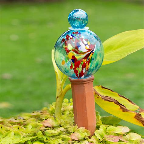 Globe Plant Quencher Blue