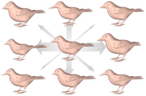 birds of a feather capturing avian shape models from images
