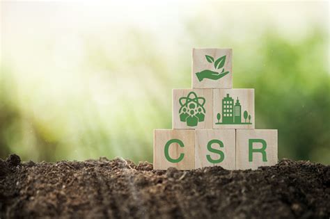 Csr 기업의 사회적 책임 Csr 및 지속 가능성 책임 사무소 천연 자원 생산 제품 사용 재사용 및 재활용 스탠드의 Csr 아이콘이있는 나무 큐브 0명에 대한 스톡 사진 및
