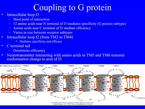 G Protein Couple Receptors Si Ppt