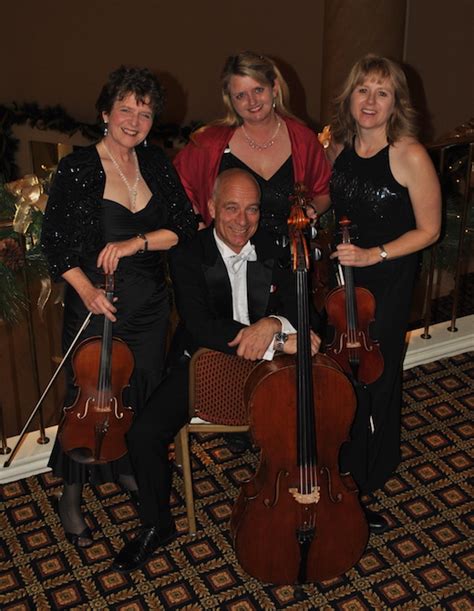 Silver Strings Nationwide Lgbtq Wedding Vendors And Expos By
