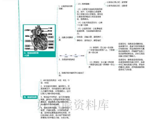 人教版初一七年级下册生物思维导图 知乎