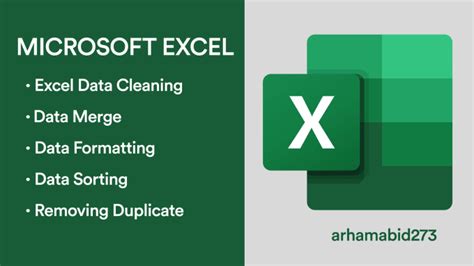 do excel cleaning excel data entry and data formatting by arhamabid273