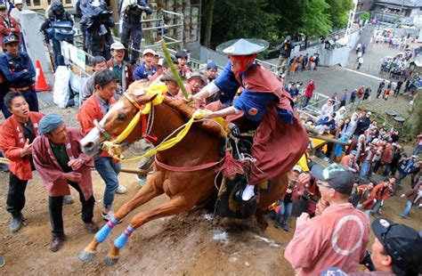 6回成功、今年は豊作 三重・多度大社「上げ馬神事」 フォトジャーナル 産経フォト