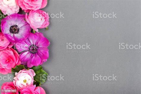 회색 백 그레이에 아름 다운 장미와 흰색 꽃입니다 파스텔 컬러 발렌타인 또는 여자의 날에 대 한 인사말 카드입니다 텍스트의 공간 복사 기념일에 대한 스톡 사진 및 기타