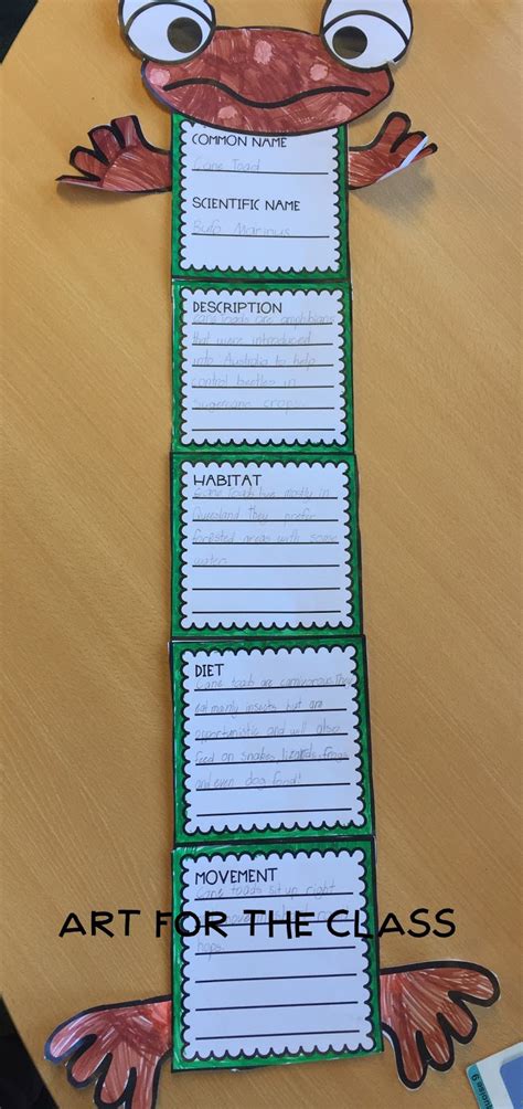 Toad Drawing And Information Writing Art For The Class