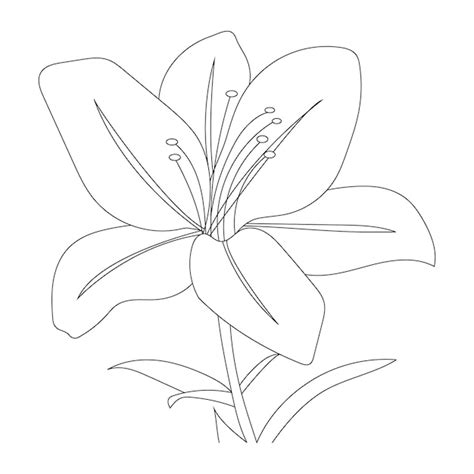 Premium Vector Floral Line Art Illustration
