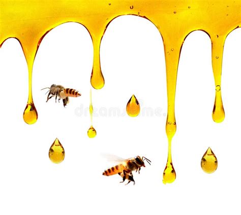 白色背景上的蜂蜜滴水蜂巢的蜜液滴金用于横幅图案蜂蜜 库存图片 图片 包括有 液体 顶层 185281335