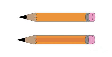 Pencil Digital Art By David Millenheft Fine Art America