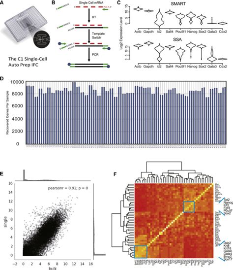 Single Cell Mrna Seq Of Mouse Embryonic Stem Cells Download