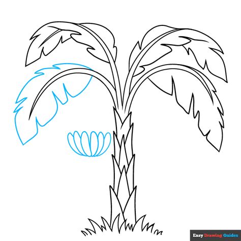 How To Draw A Banana Tree Really Easy Drawing Tutorial