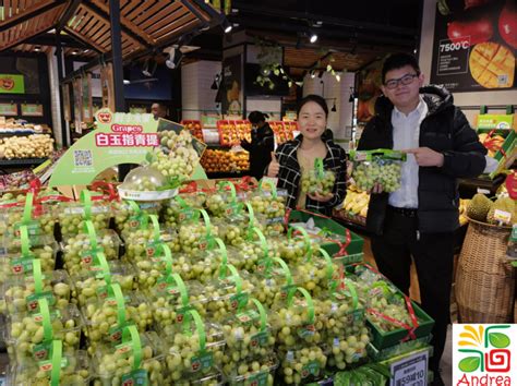 新闻稿 ANDREA携手鲜丰水果助力Sweet Globe青提走向全国 国际果蔬报道