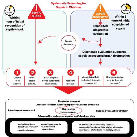 Pals Septic Shock Algorithm Diagnosis And Treatment Guide
